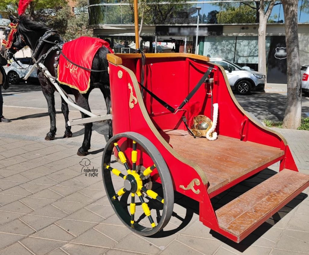 27 J – Animales a rodar